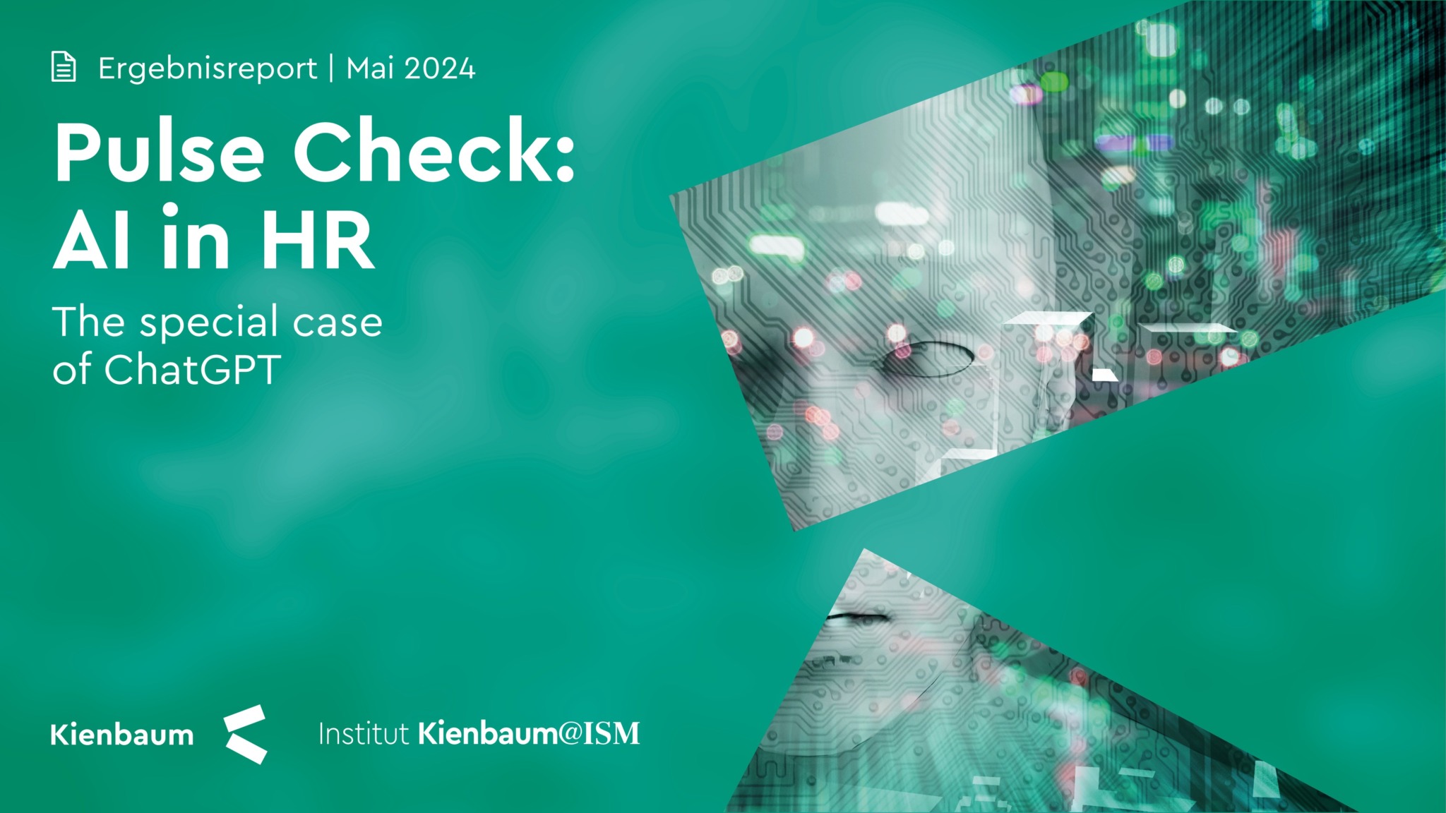 HR Pulse Check: AI in HR